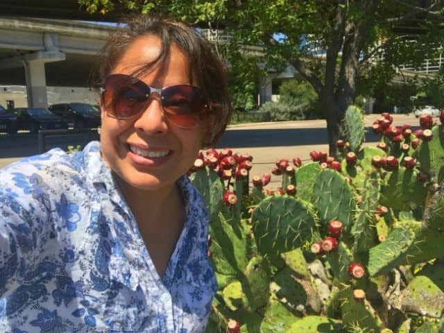 Nopal on the forehead (Nopal en la frente) : Mejorando Mi Hogar